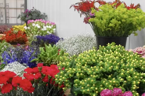 An exclusive Masterclass | Marginpar